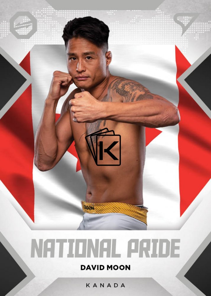 2022 Sprotzoo Oktagon MMA National Pride NP-13 David Moon :: Kartičkárna