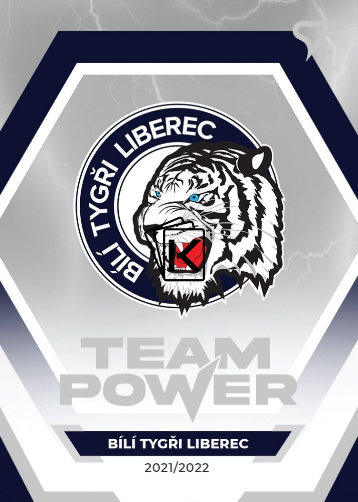 hokejová kartička 2021-22 SportZoo Tipsport Extraliga Team Power TP-5 ...